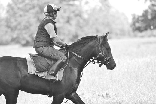 Janów Podlaski :: young-horses
